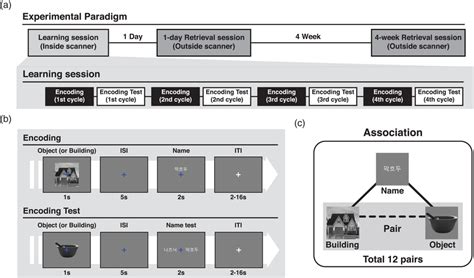 experimental procedures a participants completed an associative