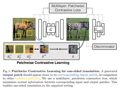 阅读论文：contrastive Learning For Unpaired Image To Image Translation 不吃萝卜