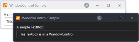 Window Control Fundamentals Controls Actipro Avalonia Controls Docs