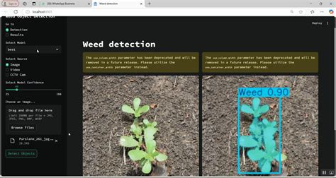 Weed Detection In Python Projects