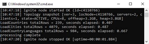 How To Fast Load Large Datasets Into Apache Ignite By Using A Key Value API