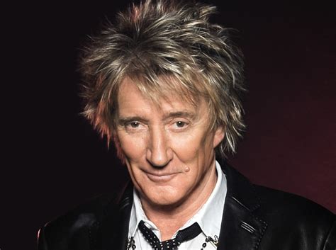 My Collections Rod Stewart