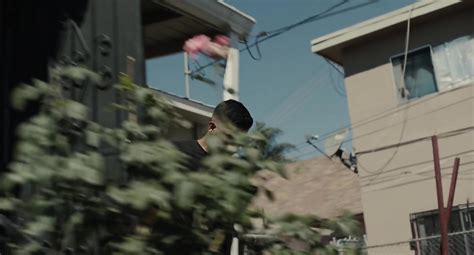 Thhetaaxcolllector2020 Eporner