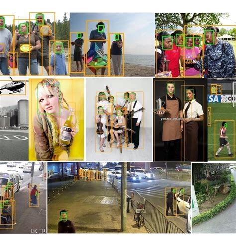 More Results Of Our Cross Dataset Training On Different Datasets The Download Scientific