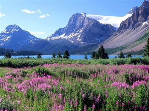Turismo In Canada Canada Oh Canada