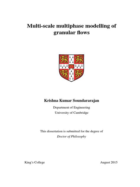multi scale multiphase modelling of gran pdf fluid dynamics