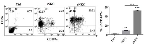 Cd107a Expression Was Significantly Upregulated In The Activated And
