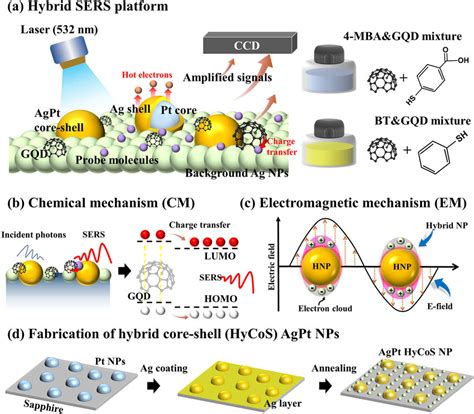 A Schematic Of Hybrid Surface Enhanced Raman Spectroscopy Sers Download Scientific Diagram