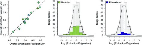 Relationships Between Origination And Extinction Rates Given Download Scientific Diagram