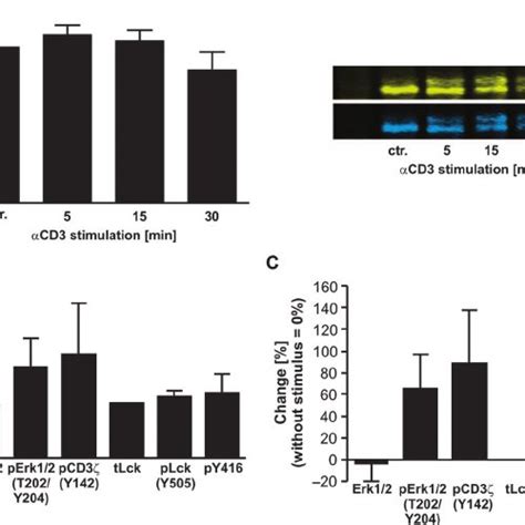 Global Analysis Of Lck Phosphorylation After T Cell Activation A Download Scientific
