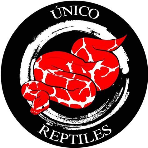 Único Reptiles - YouTube