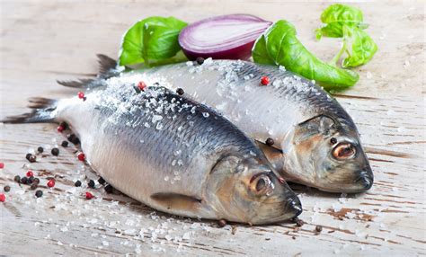 Оптовая торговля свежемороженой рыбой и морепродуктами