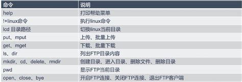 解决leensa无法使用的办法：平替教程