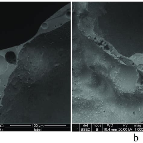 Results Of Electron Microscopy Of Foam Glass Samples A Primary