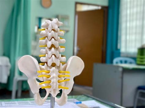 Premium Photo Close Up Of Skeleton On Table