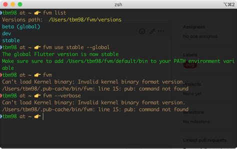 [bug] fvm can t use after switch global · issue 126 · leoafarias fvm