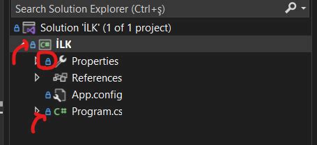 C Why Are Files Showing A Lock Icon In Visual Studio S Solution Explorer Stack Overflow