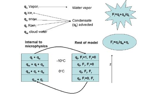 1 water species used internally in the ferrier microphysics and their