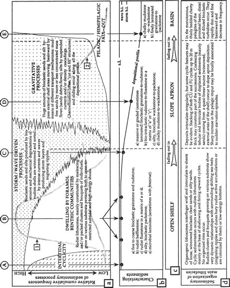 Composite Scheme Resuming The Overall Sedimentary Characteristics Of