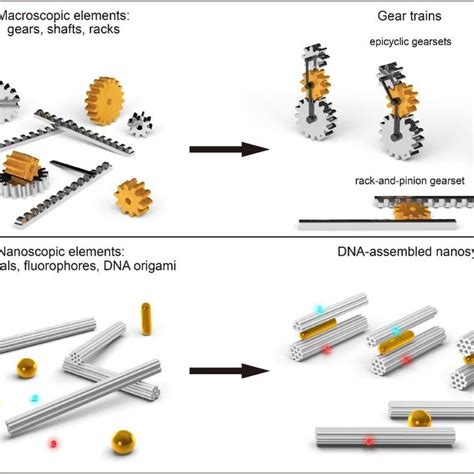 Schematic Of The Macroscopic And Nanoscopic Systems With Regulated Download Scientific