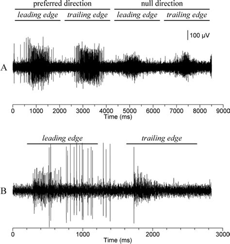 The Spike Responses Of Retinal And Tectal Units Recorded Download