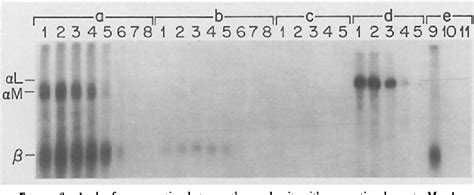 Figure 6 From Mapping Of Antigenic And Functional Epitopes On The A And3 Subunits Of Two