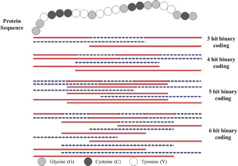 The Schematic Diagram For Constructing Multi Scale Local Descriptor