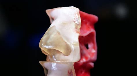 Fusetec Sinus Models Fusetec