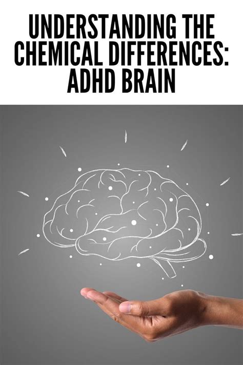 Adhd Brain Vs Normal Brain Functions Differences More Artofit