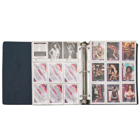 Lot Retro California Dreaming Erotic Cards Album