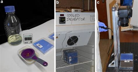 Low Cost Root Phenotyping Is Achieved By A Using Inexpensive Download Scientific Diagram