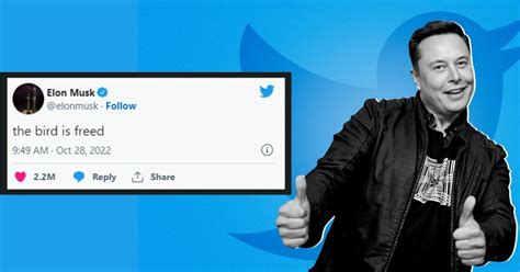 ‘the Bird Is Freed As Elon Musk Takes Over Twitter Press Xpress
