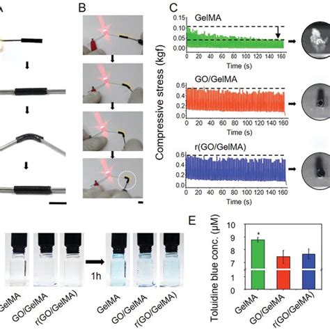 Pdf Electrically Conductive Hydrogel Nerve Guidance Conduits For Peripheral Nerve Regeneration