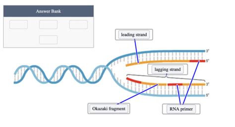 Chapter 12 Homework Flashcards Quizlet