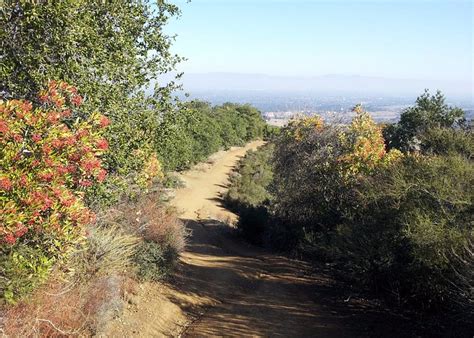 Los Altos Hills Tourism 2023 Best Of Los Altos Hills Ca Tripadvisor