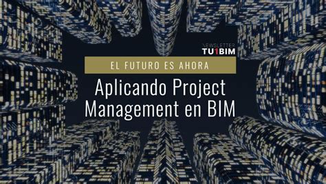 ¿qué Es El 10d En Bim Tu1bim