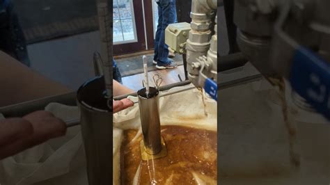 Brix And Maple Syrup At James Buckler Blog