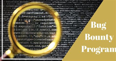 What Is A Bug Bounty Program