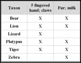 A Very Simple Character Matrix Each X Notes The Presence Of A Download Scientific Diagram