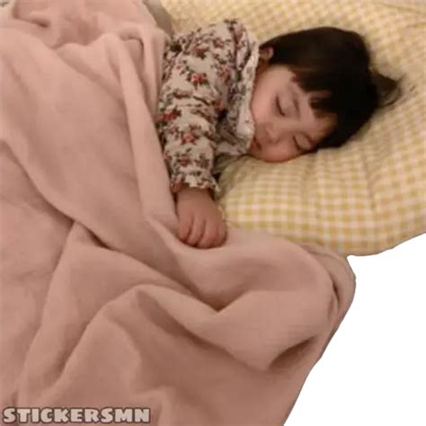 Sticker Maker Lee Rohee Lohee Bebita Coreana