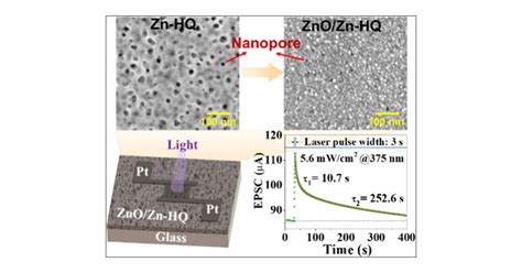 Optoelectronic Artificial Synapses Based On Znonanoporous Hybrid Thin Film By Atomicmolecular