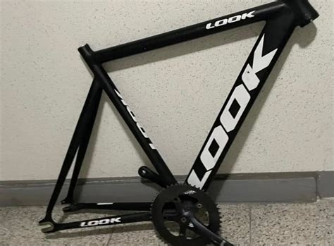 픽시 룩 질문이요 지식in