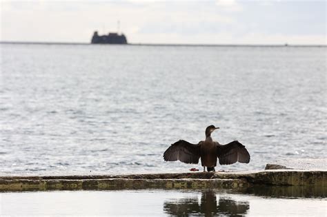 Devon And Cornwall Police Being Exploited For Sex Can Happen To Any