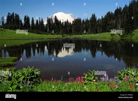 Reflection Of Mount Rainier Tipsoo Lake Mount Rainier National Park