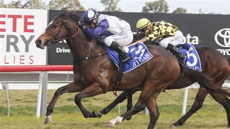 Armidale Tips Trainer Nikki Pollock Has Hit Song In Fine Tune To Keep On A Winning Roll