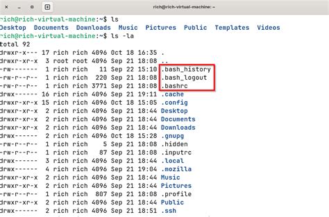 Mastering The Linux File System My Go To Commands And Tips