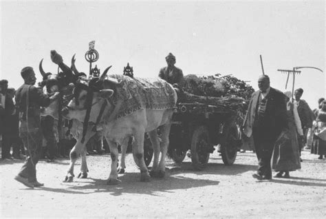 Discover La Caveja In Santarcangelo