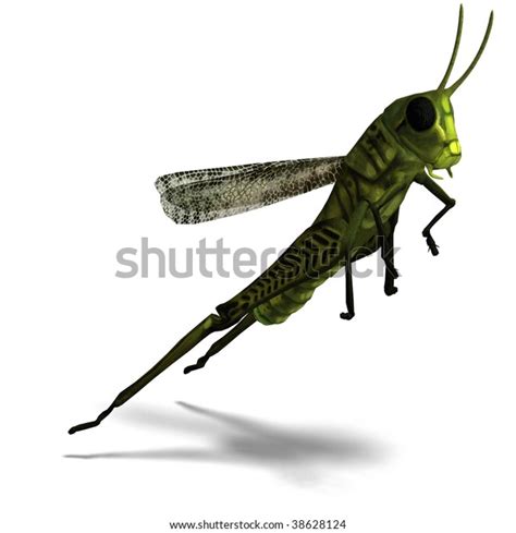 3d Rendering Green Grasshopper Clipping Path Stock Illustration
