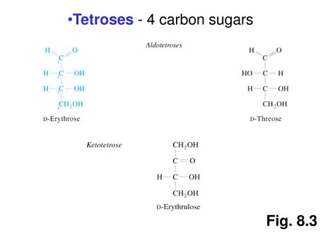 Ppt Chapter 8 Carbohydrates Powerpoint Presentation Free Download