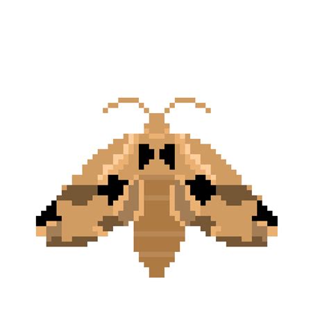 CodeBUG S Gallery Pixilart